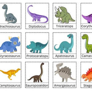 Printable Dinosaur Flashcards | Herbivore & Carnivore Learning Set for ...