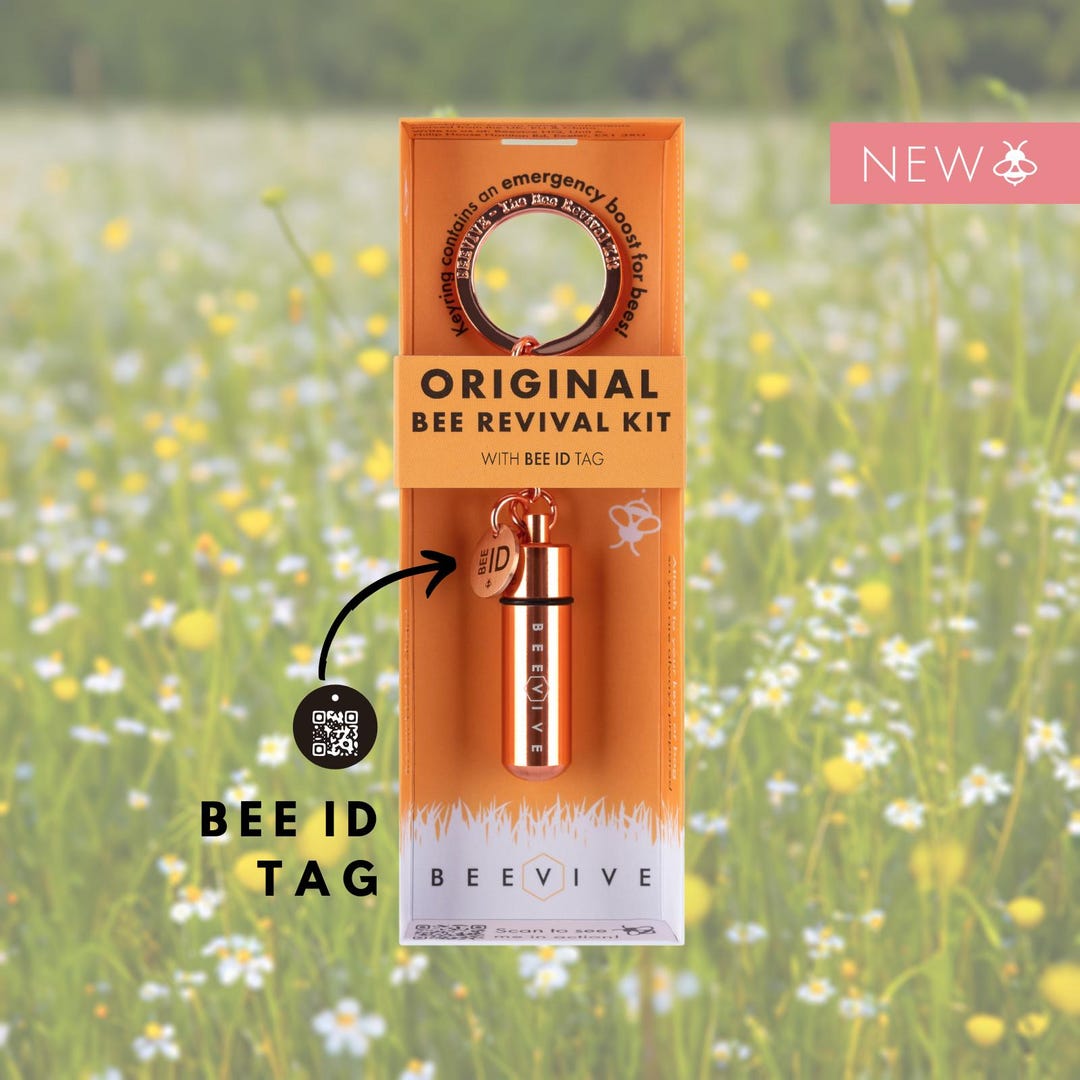 The Original Bee Revival Kit - Rose Gold Edition - Etsy