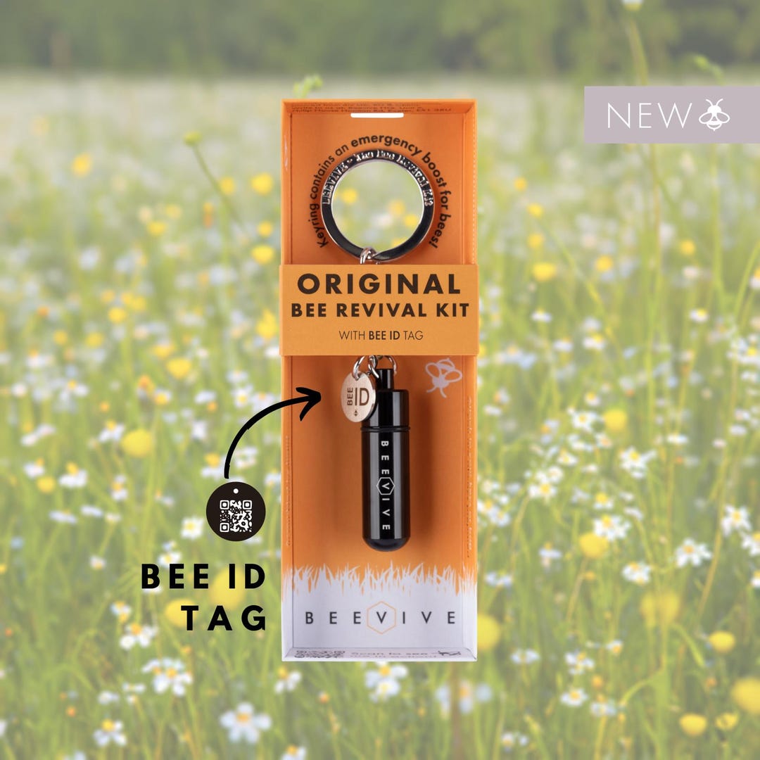The Original Bee Revival Kit - Black Edition - Etsy UK