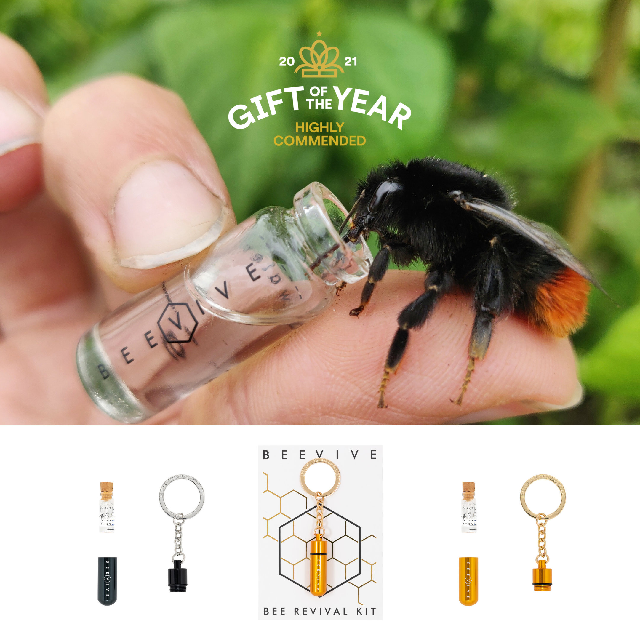 The Original Bee Revival Kit Gold Edition - Etsy UK