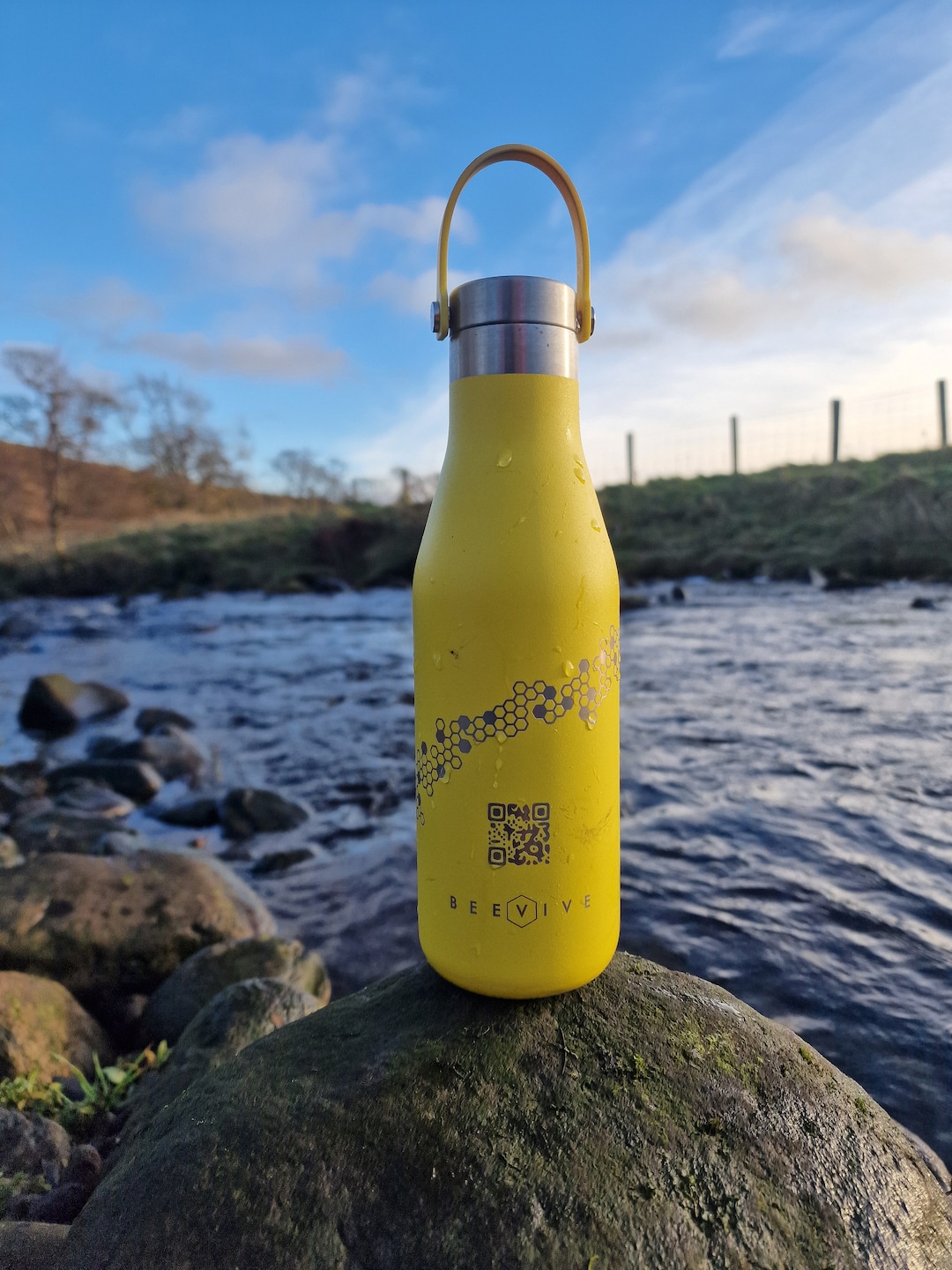 Bee-themed Insulated Water Bottle Engraved With Bee ID Guide QR Code - Etsy
