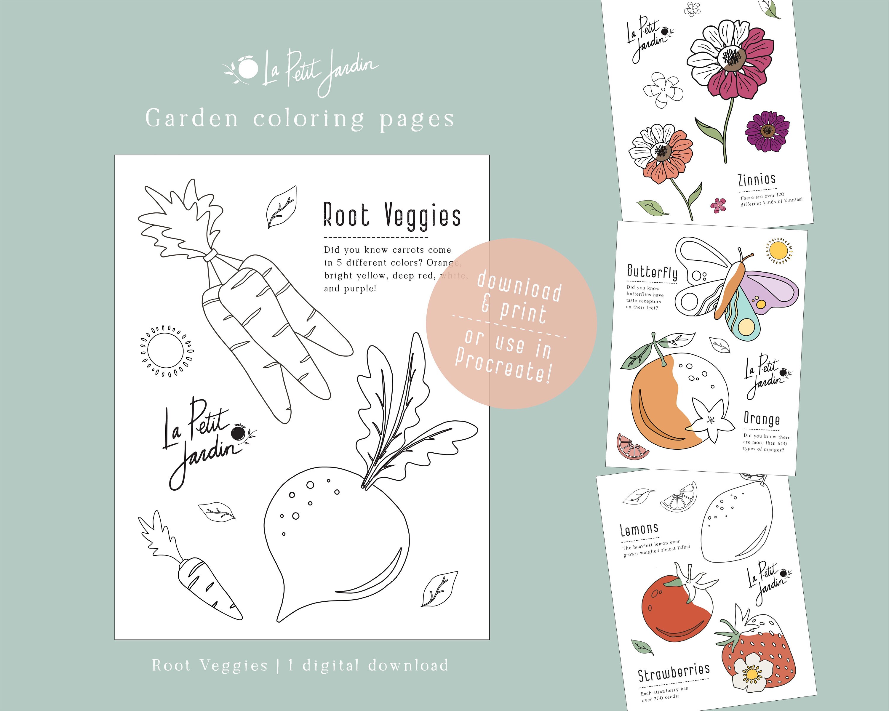 Carrot Seed Coloring Sheet