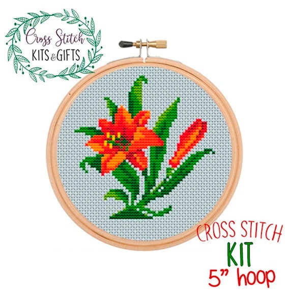 Cross stitch starter kit store
