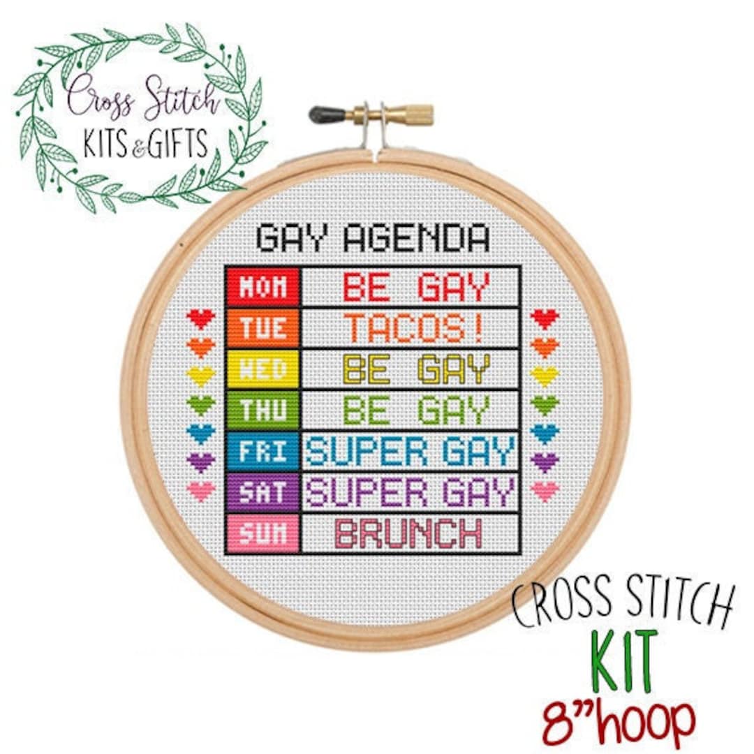 Gay Agenda Cross Stitch Kit. Beginner Adult Starter Cross Stitch Kit ...