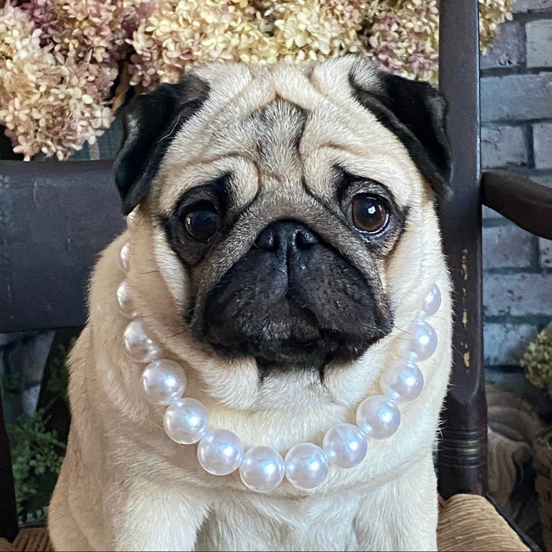 Pearl Dog Pugs - Etsy