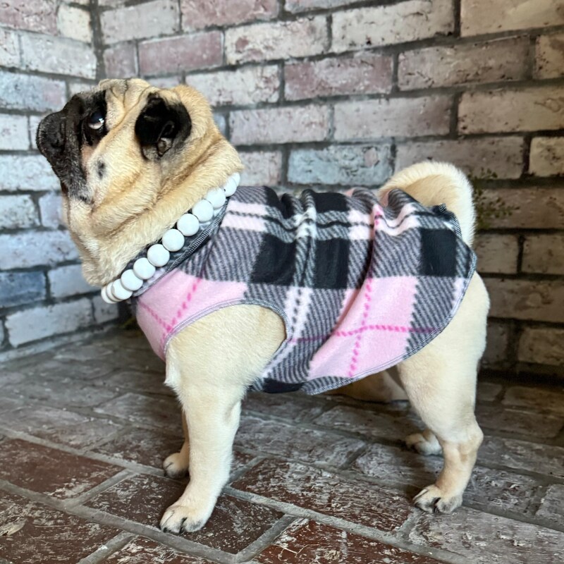 Dog Jacket for Pug - Etsy