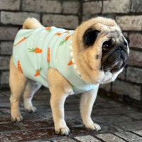 Pug Baby Bodysuit : Pug Baby Gift, Pug Baby Shower - Etsy UK