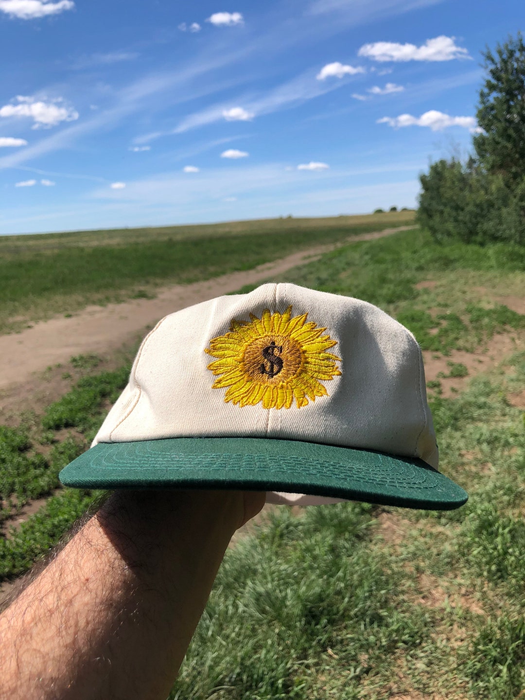 Vintage Pioneer Seeds Hat Snapback Dad Hat Grail - Etsy