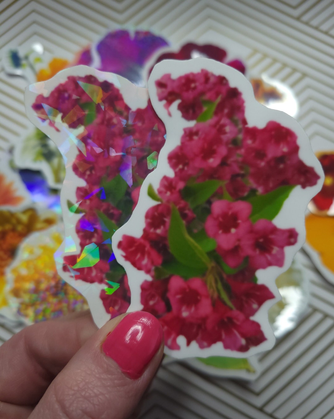 Backyard Blooms Sticker Series- Azalea Hand-cut Vinyl Stickers - Etsy