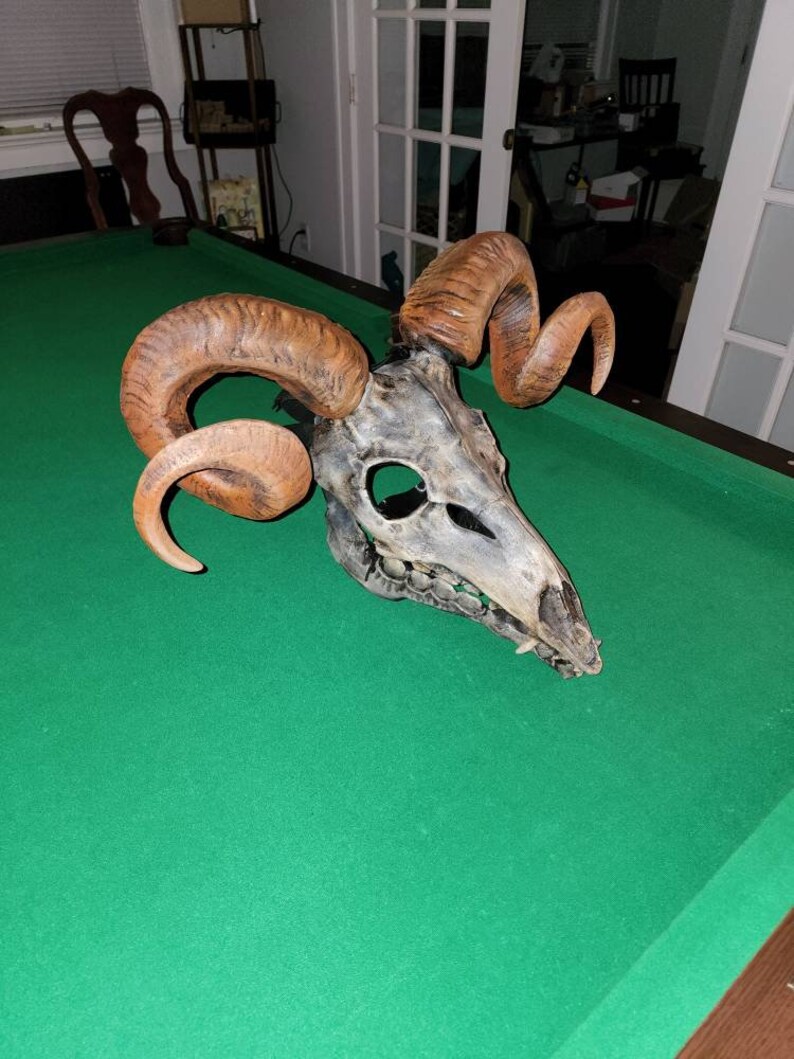 Wendigo Ram Horn Mask - Etsy