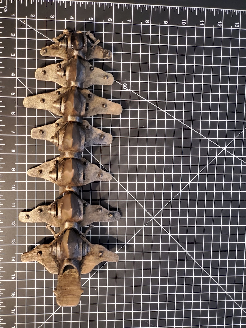 Spine Armor - Etsy