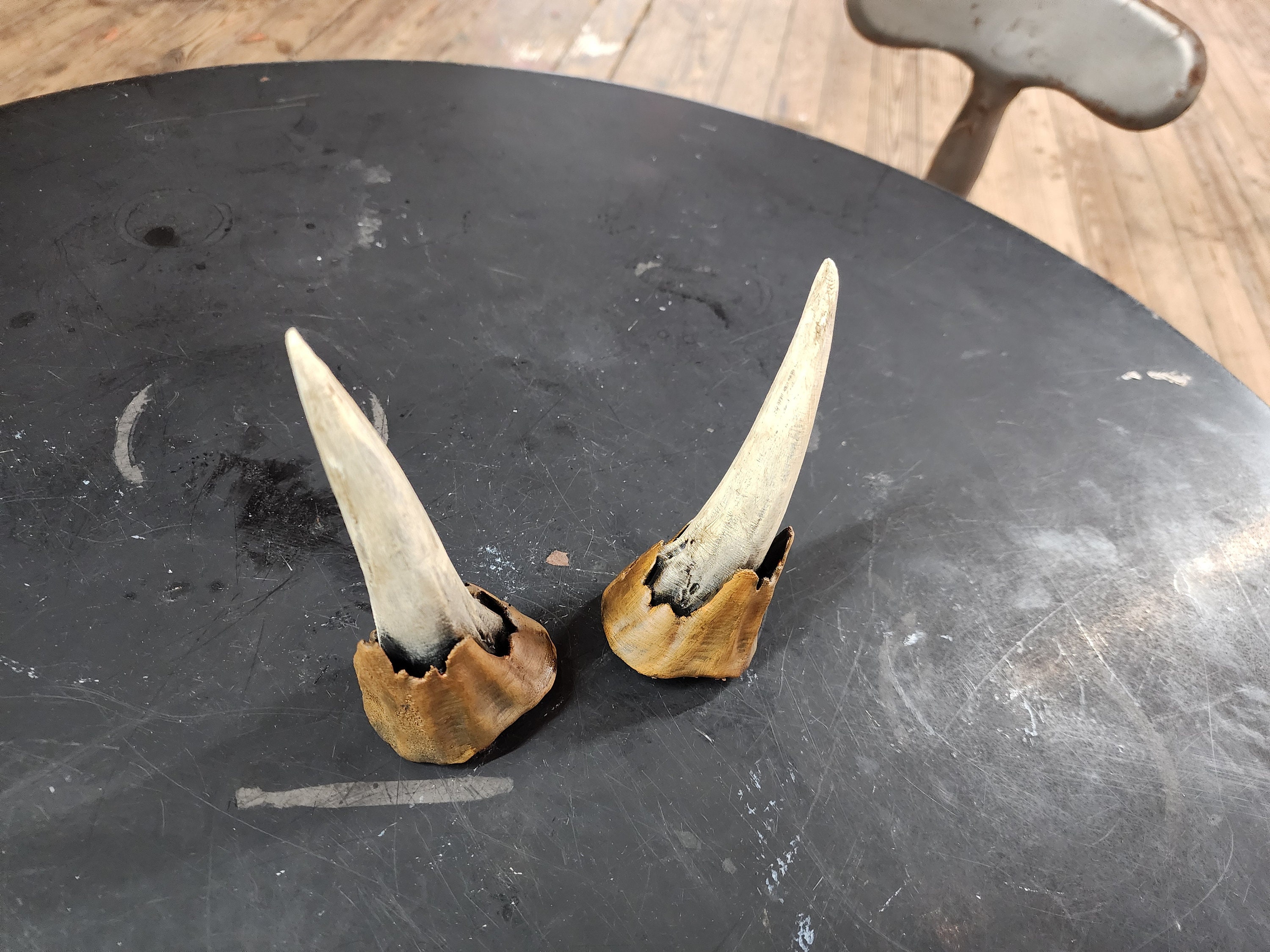 Shoulder Spikes - Etsy