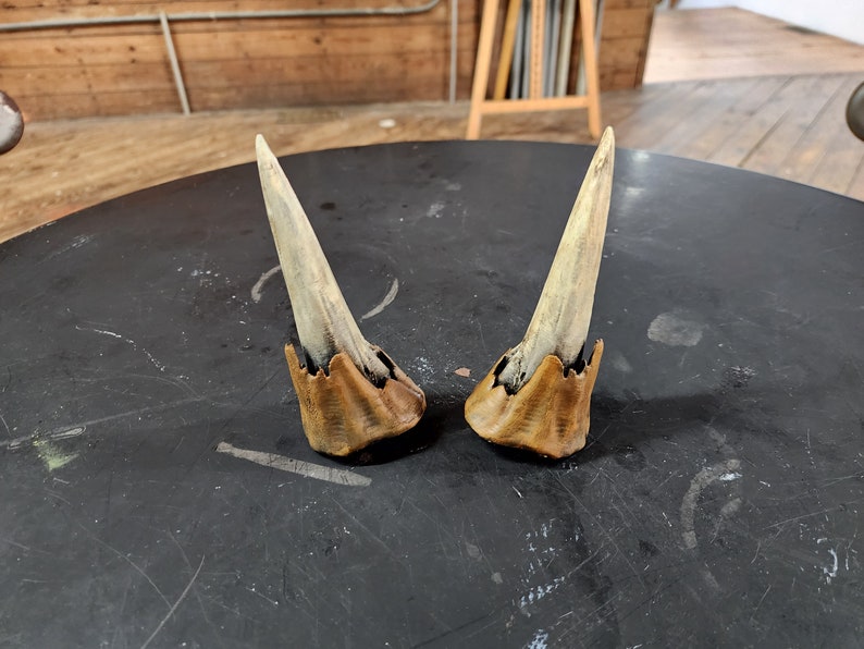Shoulder Spikes - Etsy