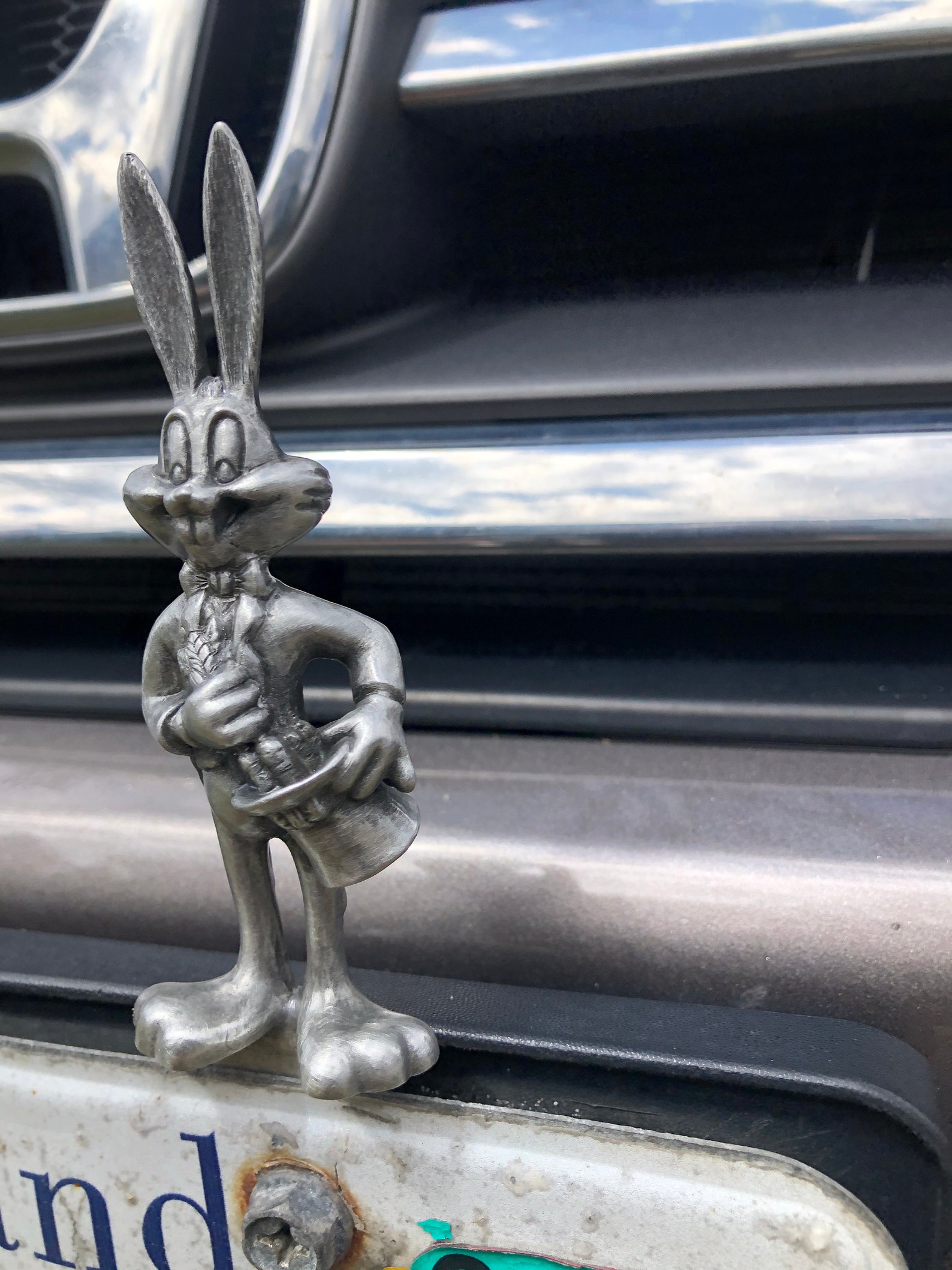 Bunny License Plate Topper - Etsy