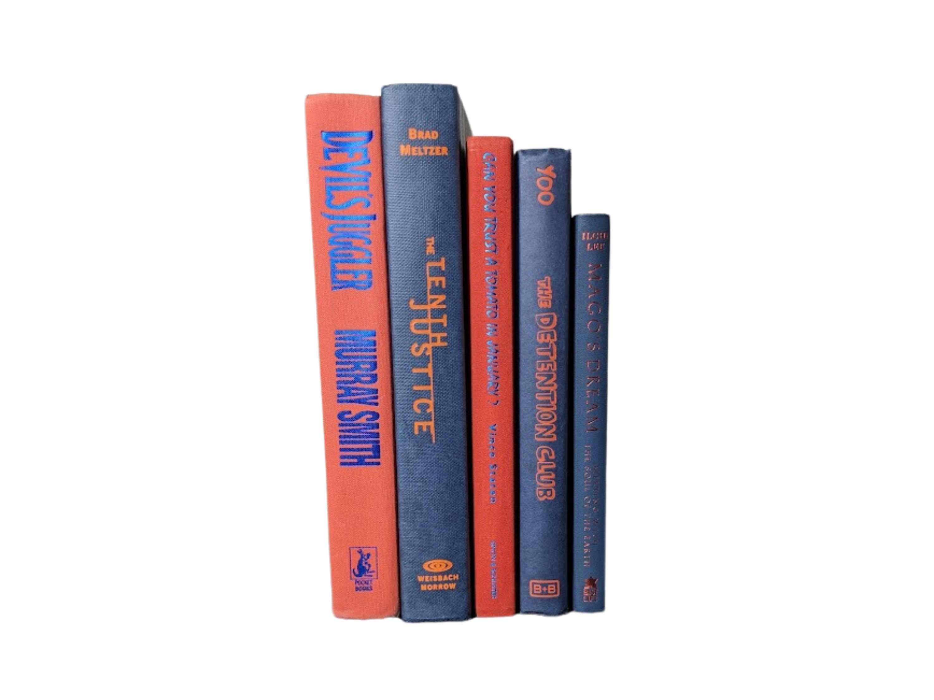 Bundle of Red and Blue Books Real Books Home Décor Decorative Books ...
