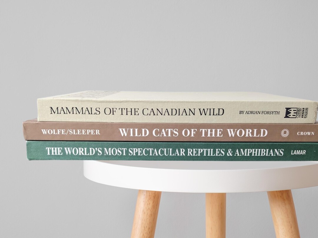 Green and Shades of Brown Book Stack Coffee Table Decor Set Large Book ...