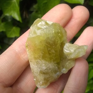 Rare Raw Brazilianite Crystal From Minas Gerais Brazil High Collectors ...