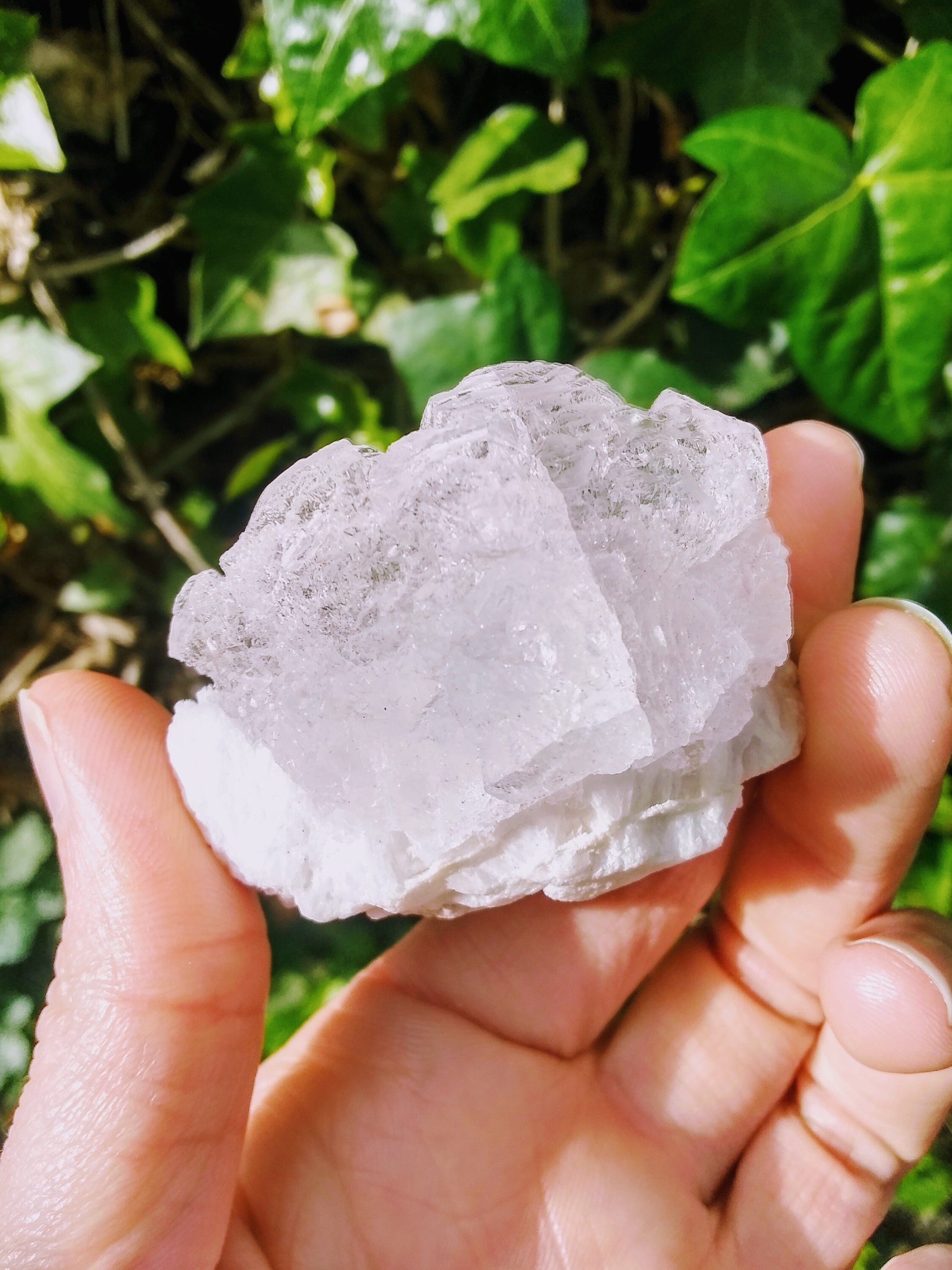 Naturally Etched Raw Pale Pink Kunzite Spodumene Mineral - Etsy