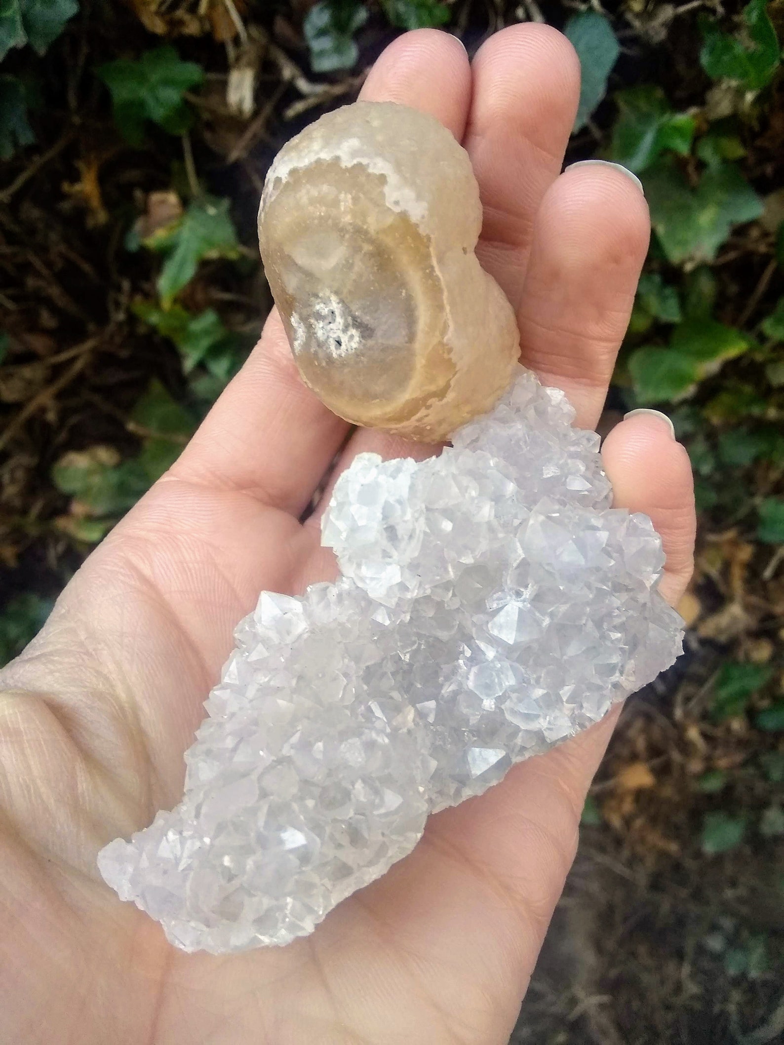 Fluorite Ball Mineral Formation on Quartz Crystal Cluster - Etsy