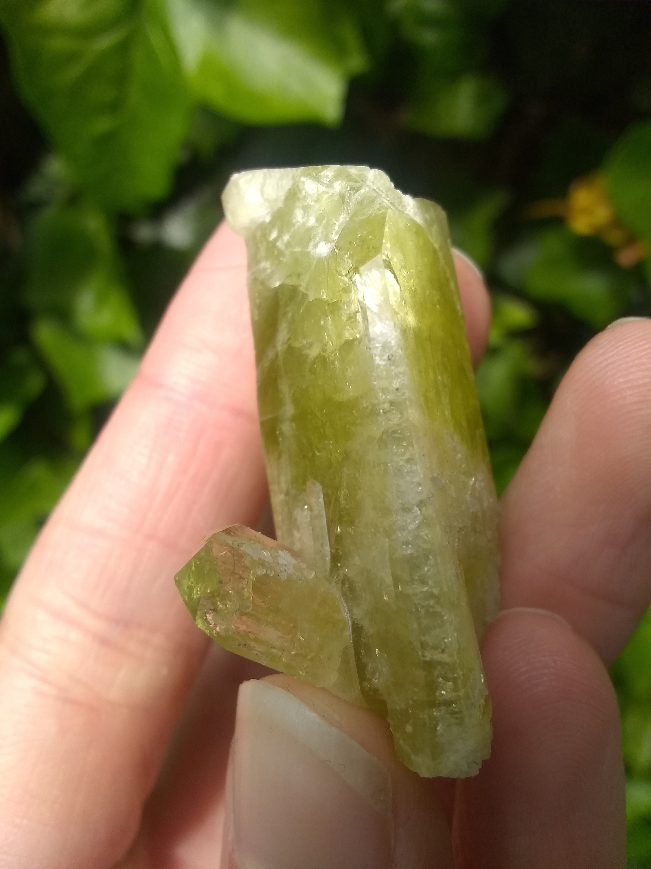 Rare Raw Brazilianite Crystal From Minas Gerais Brazil High Collectors ...