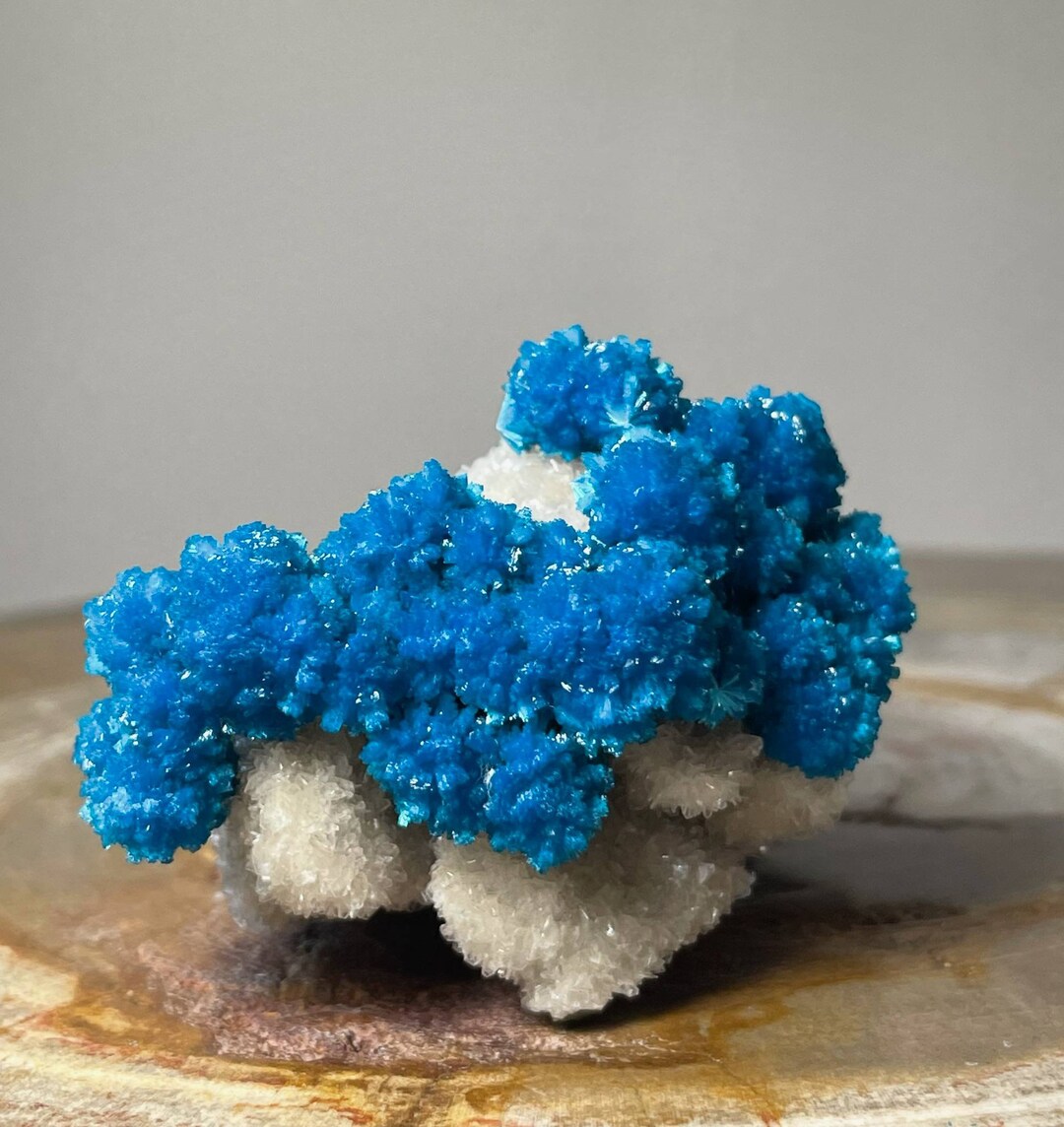 Cavansite With White Stilbite on Matrix Maharashtra, Pune, India - Etsy