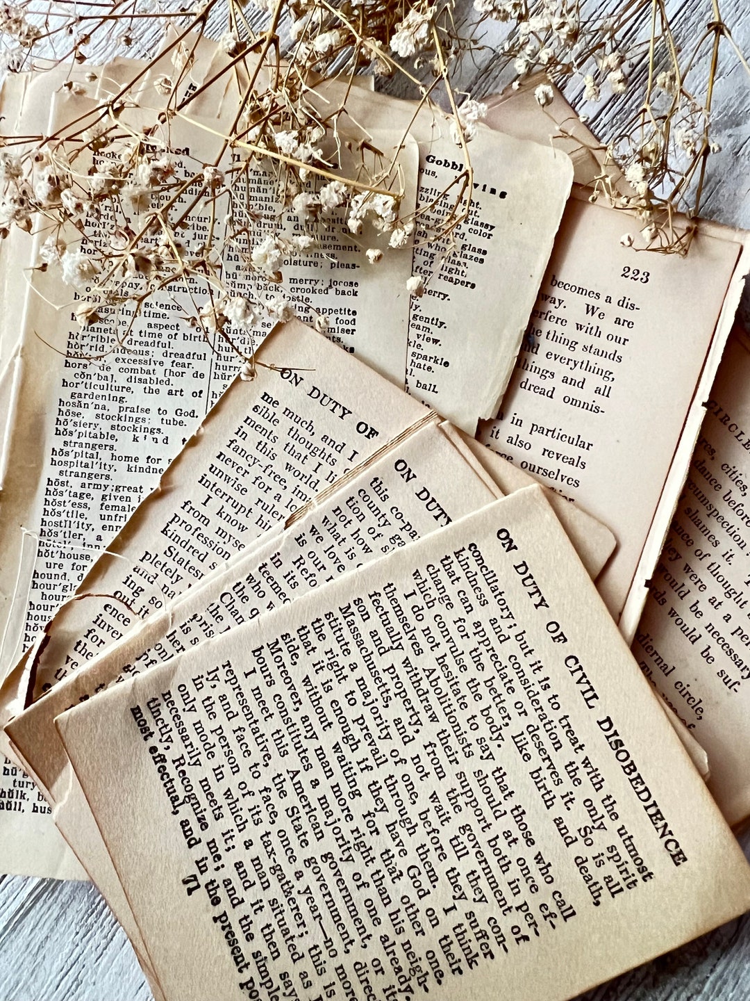 80 Small Vintage Book Pages for Scrapbooking Ephemeral | Free Shipping ...