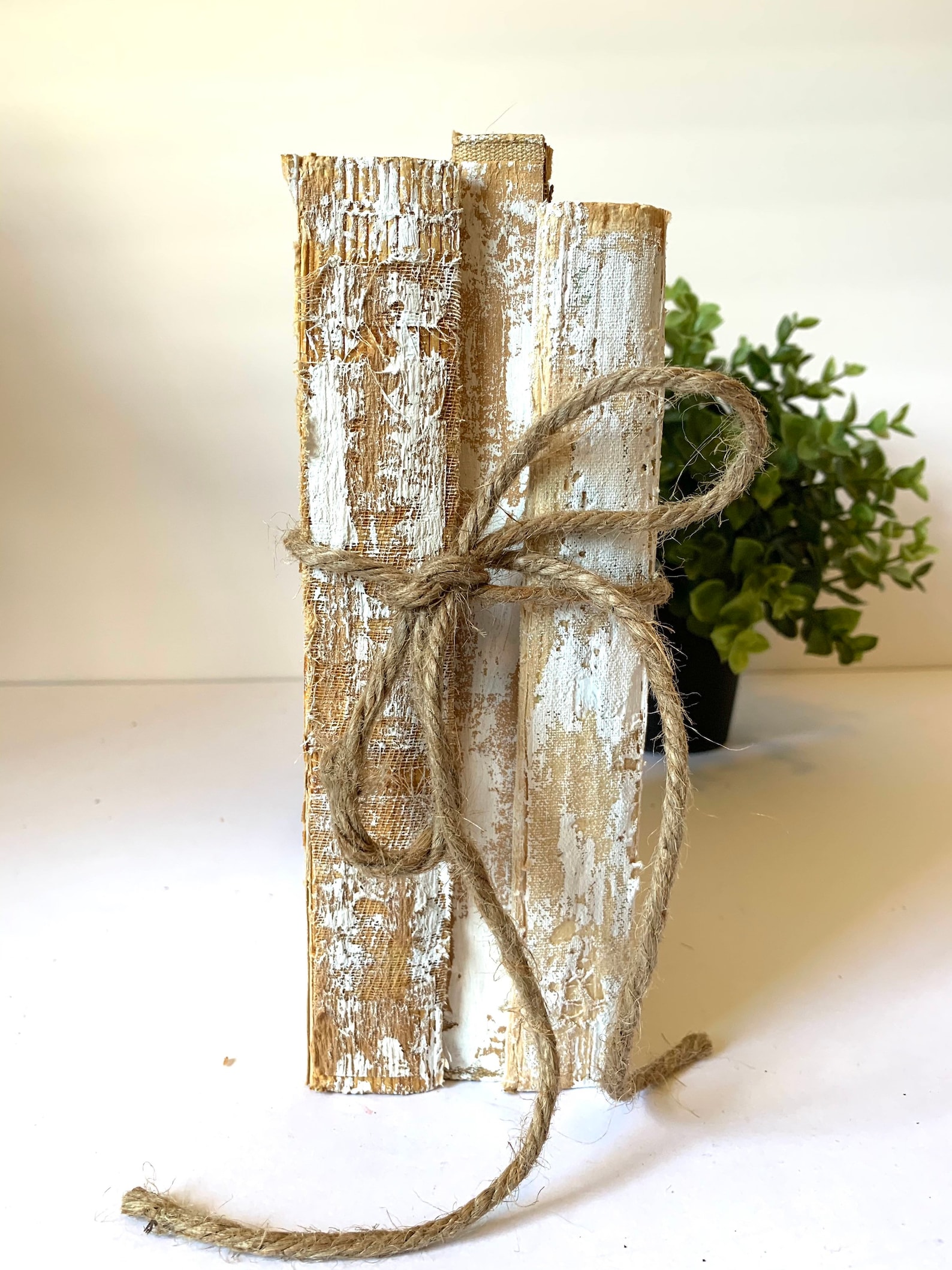 Unbound White Wash Book Bundle//books for Decorating /home - Etsy