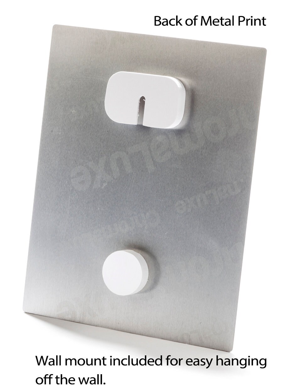 Custom Metal Print With Your Photo, Aluminum Print, Metal Wall Art - Etsy