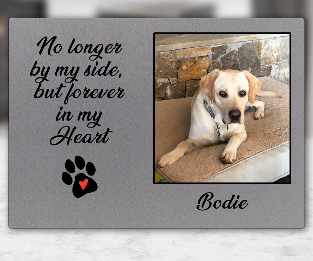 Pet Remembrance Photo Gift for Dog Lover Memorial Picture Frame Pet ...