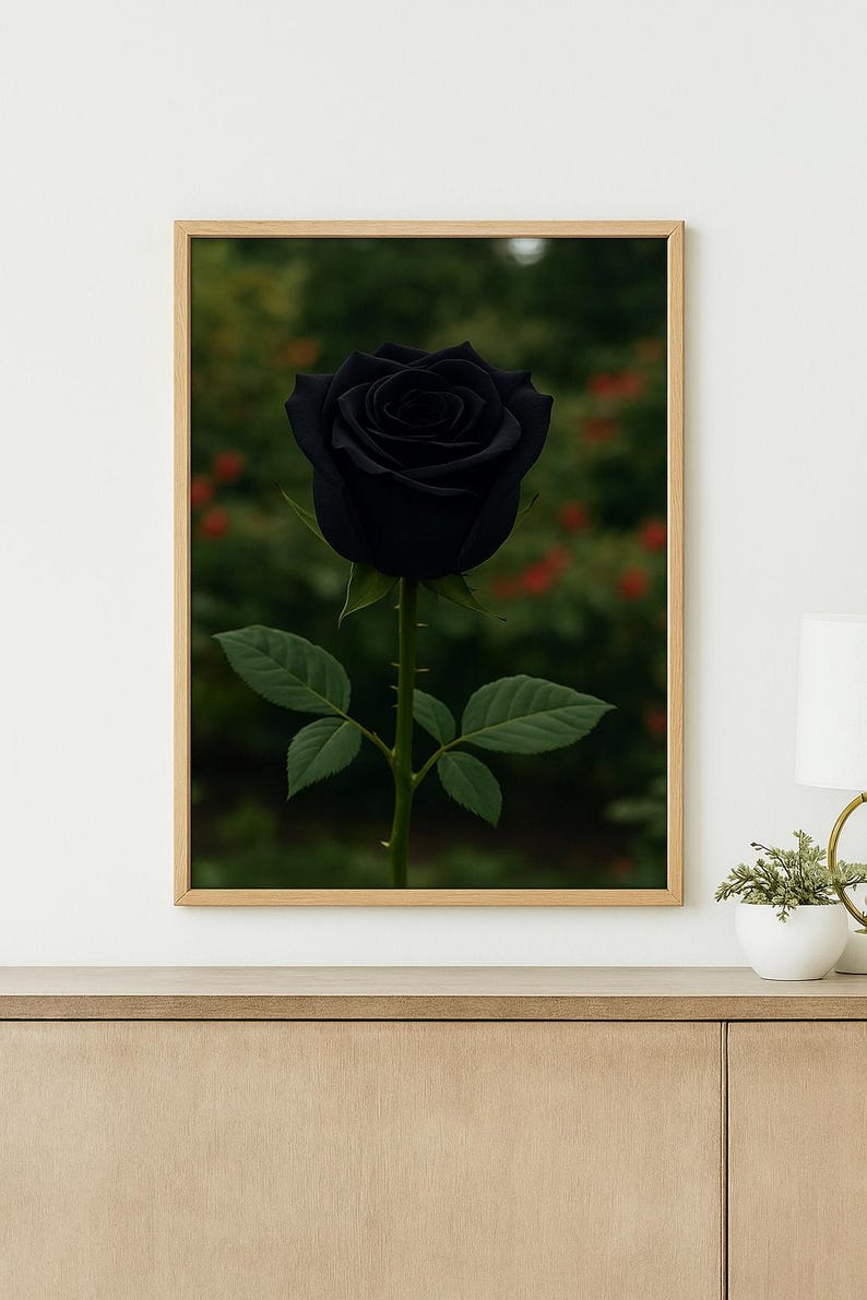 Black Rose Printable Wall Art – Gothic Dark Floral Photography, Moody ...