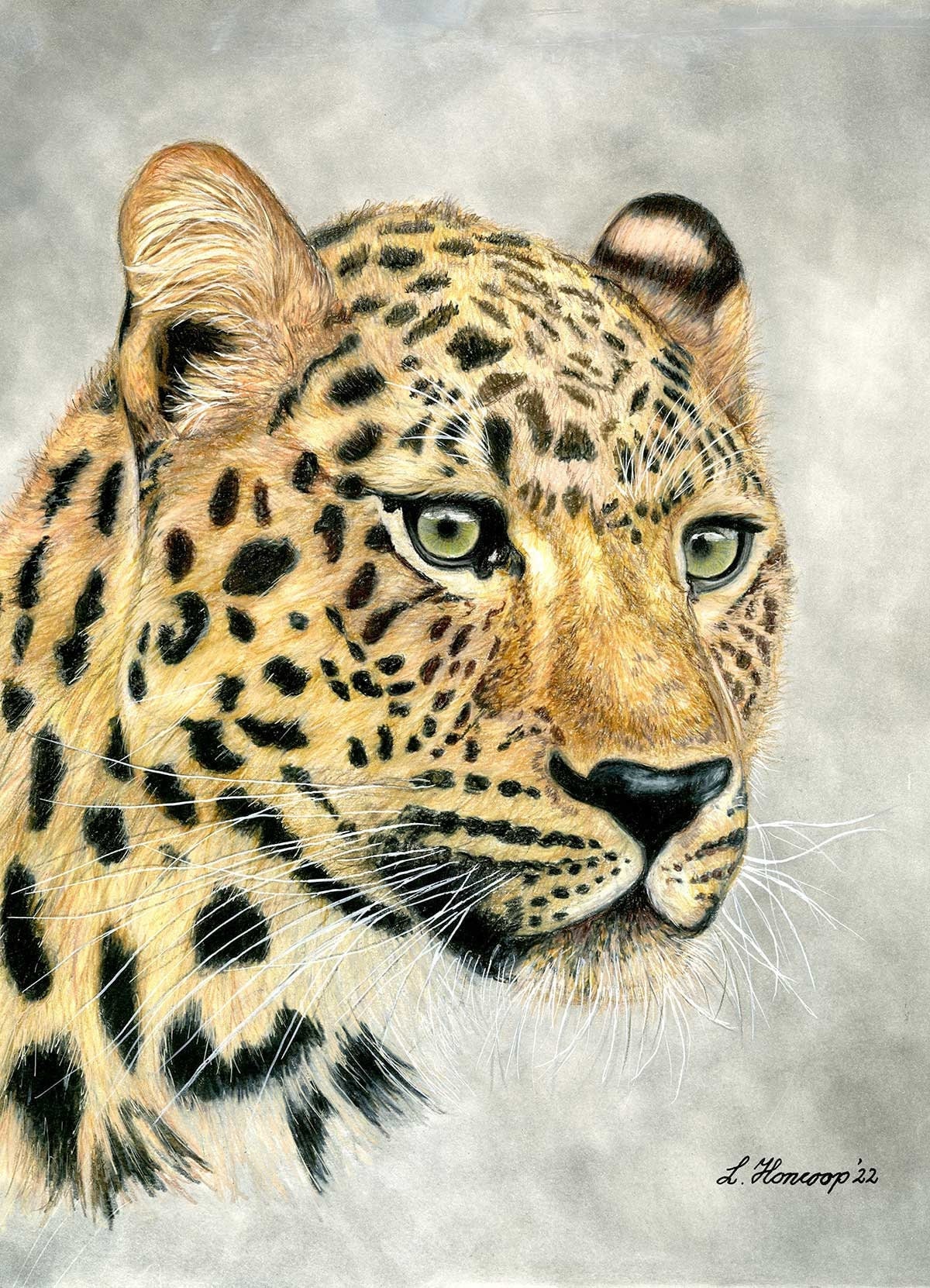 Leopard Color Pencil Drawing - Etsy
