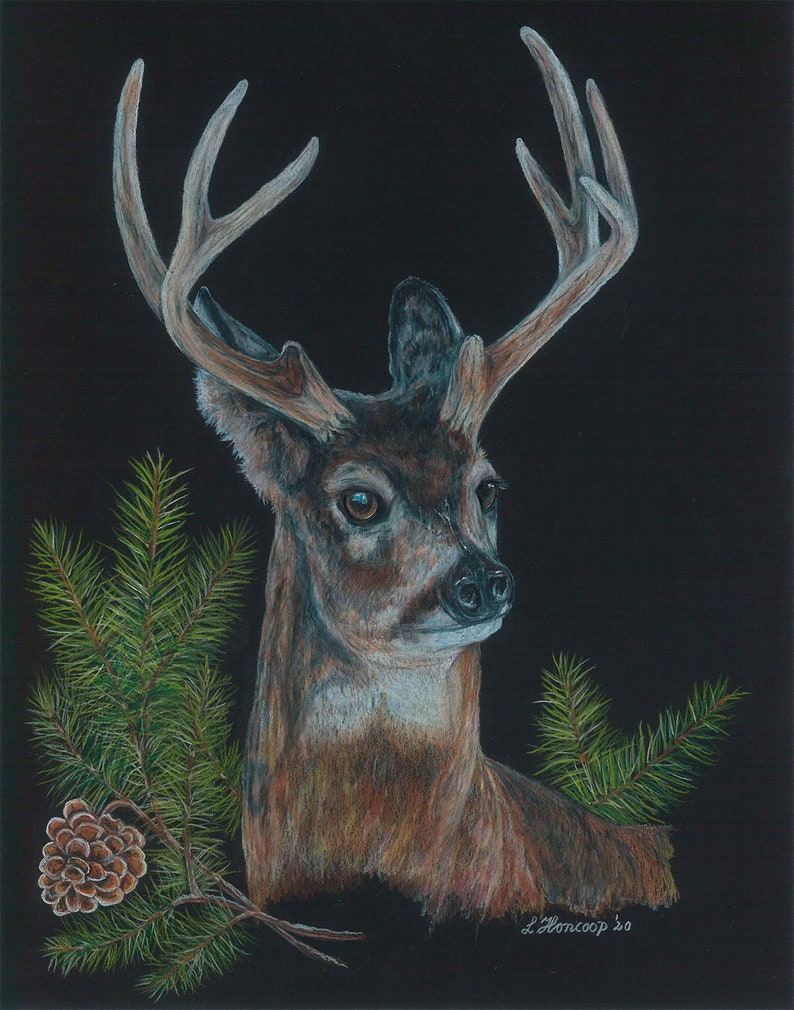 Deer Color Pencil Drawing - Etsy