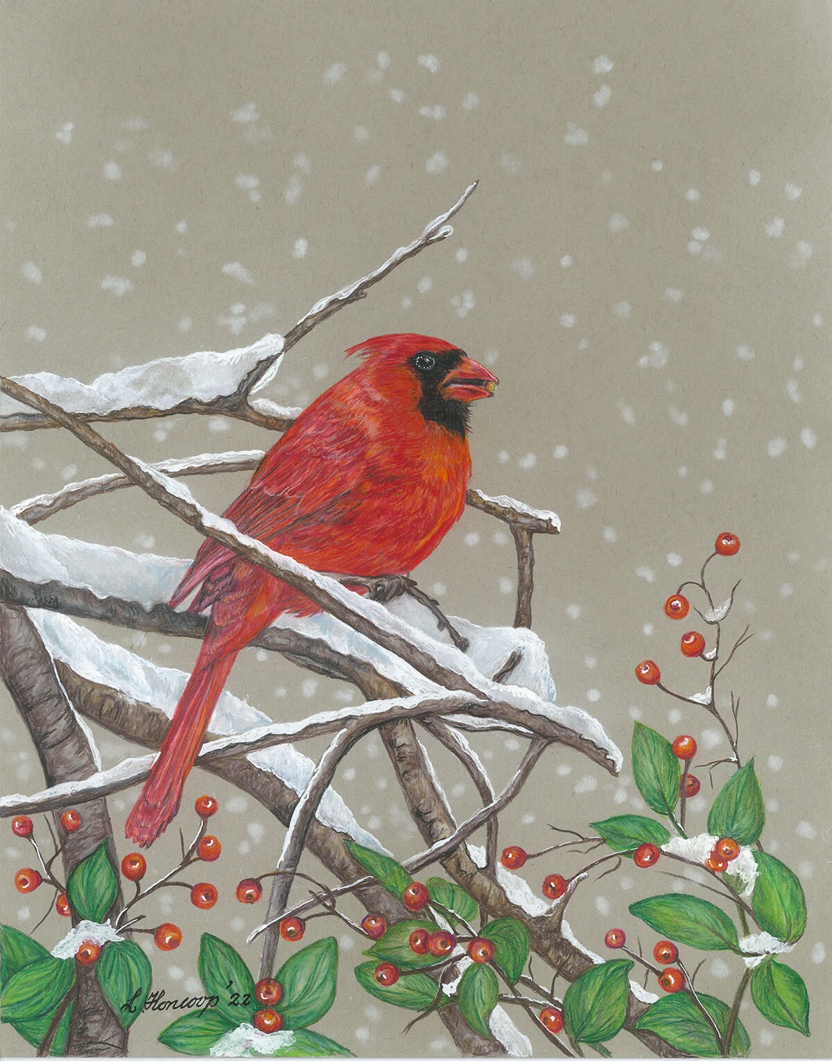 Winter Cardinal Color Pencil Drawing - Etsy