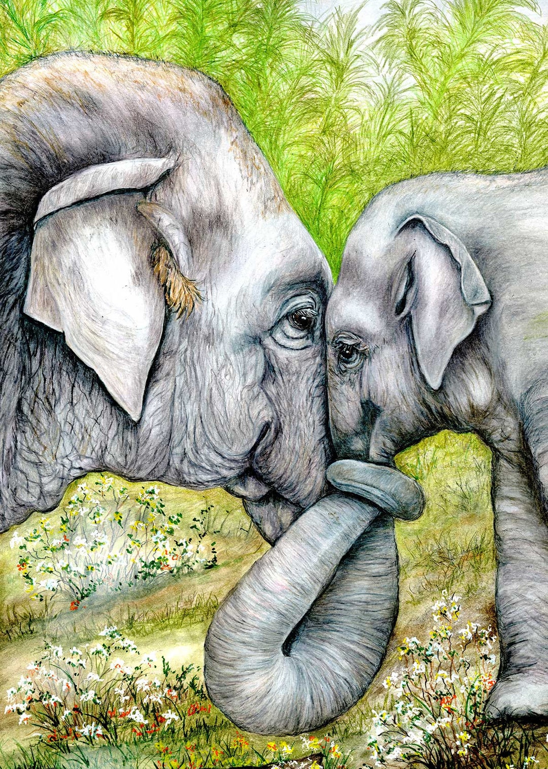 Elephant Embrace Color Pencil Drawing - Etsy
