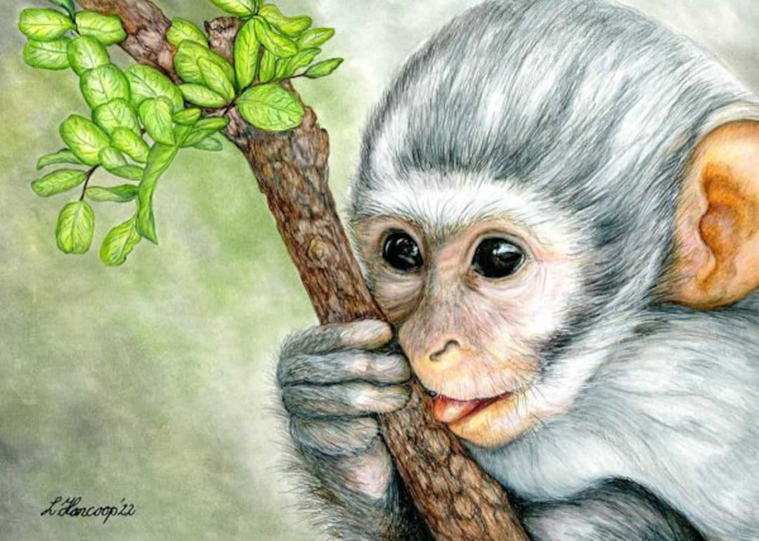 Baby Monkey Color Pencil Drawing - Etsy