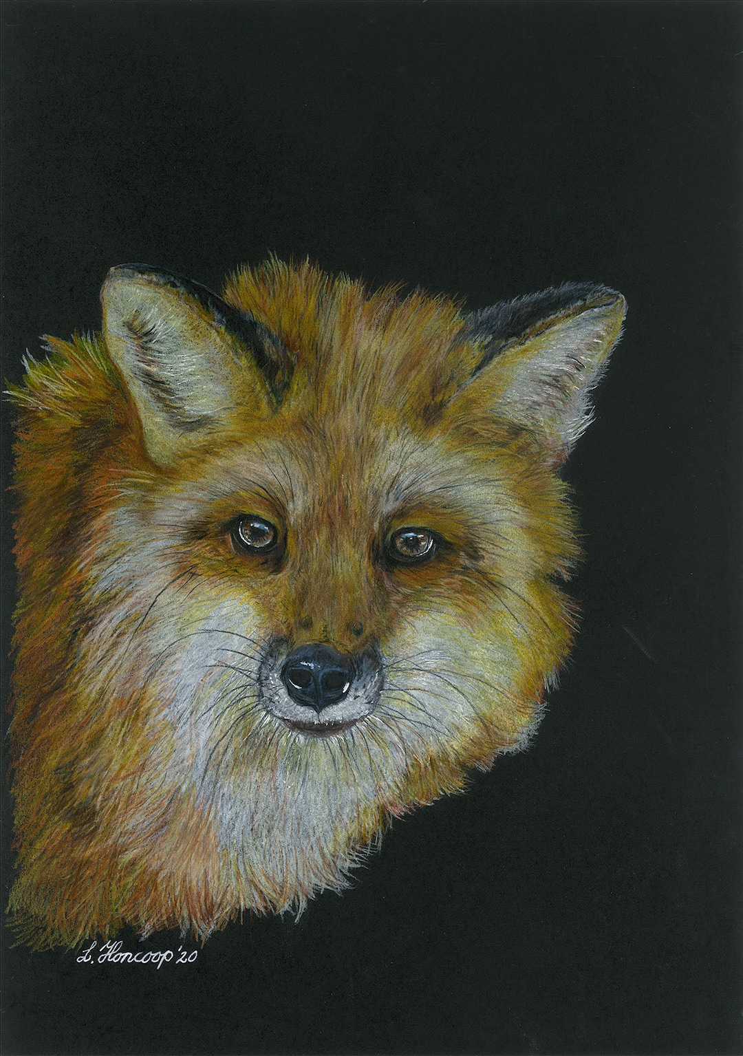 Fox Color Pencil Drawing - Etsy