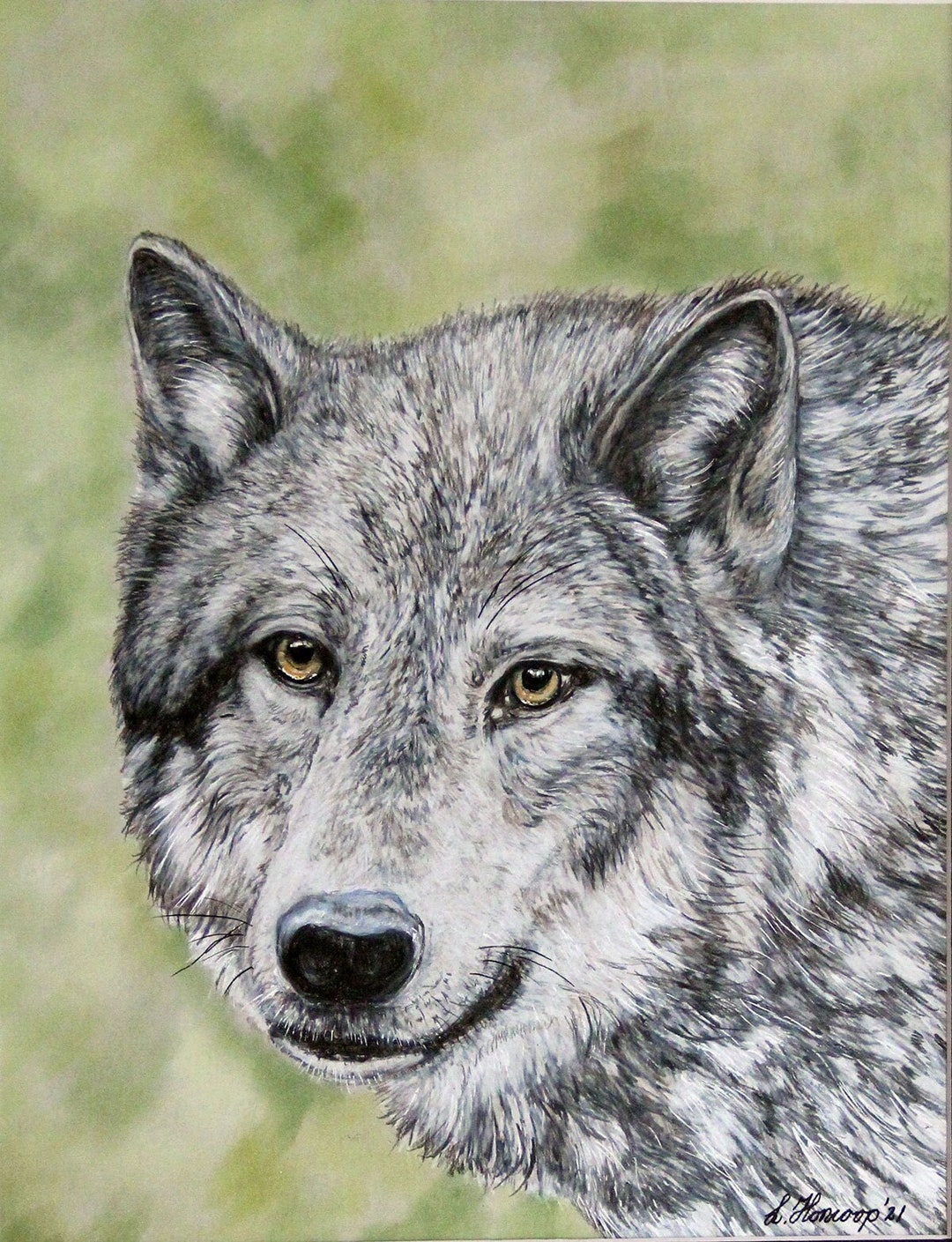 Wolf Color Pencil Drawing - Etsy