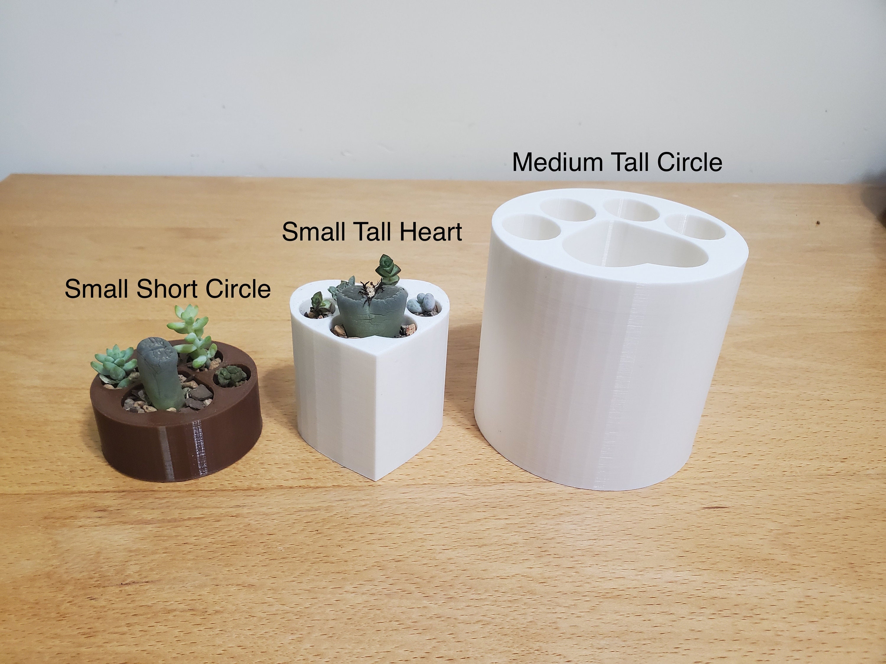 Paw Planter Heart & Circle Pot Perfect for Succulents | Etsy