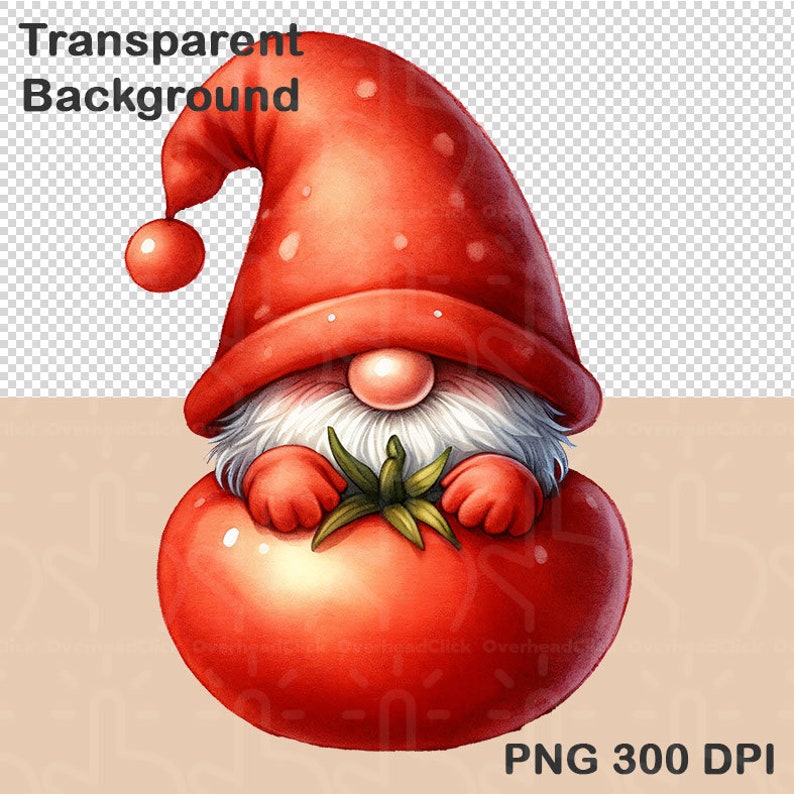 Little Gnomes Clipart, 15 PNG Transparent, 300 DPI, Cute Watercolor ...