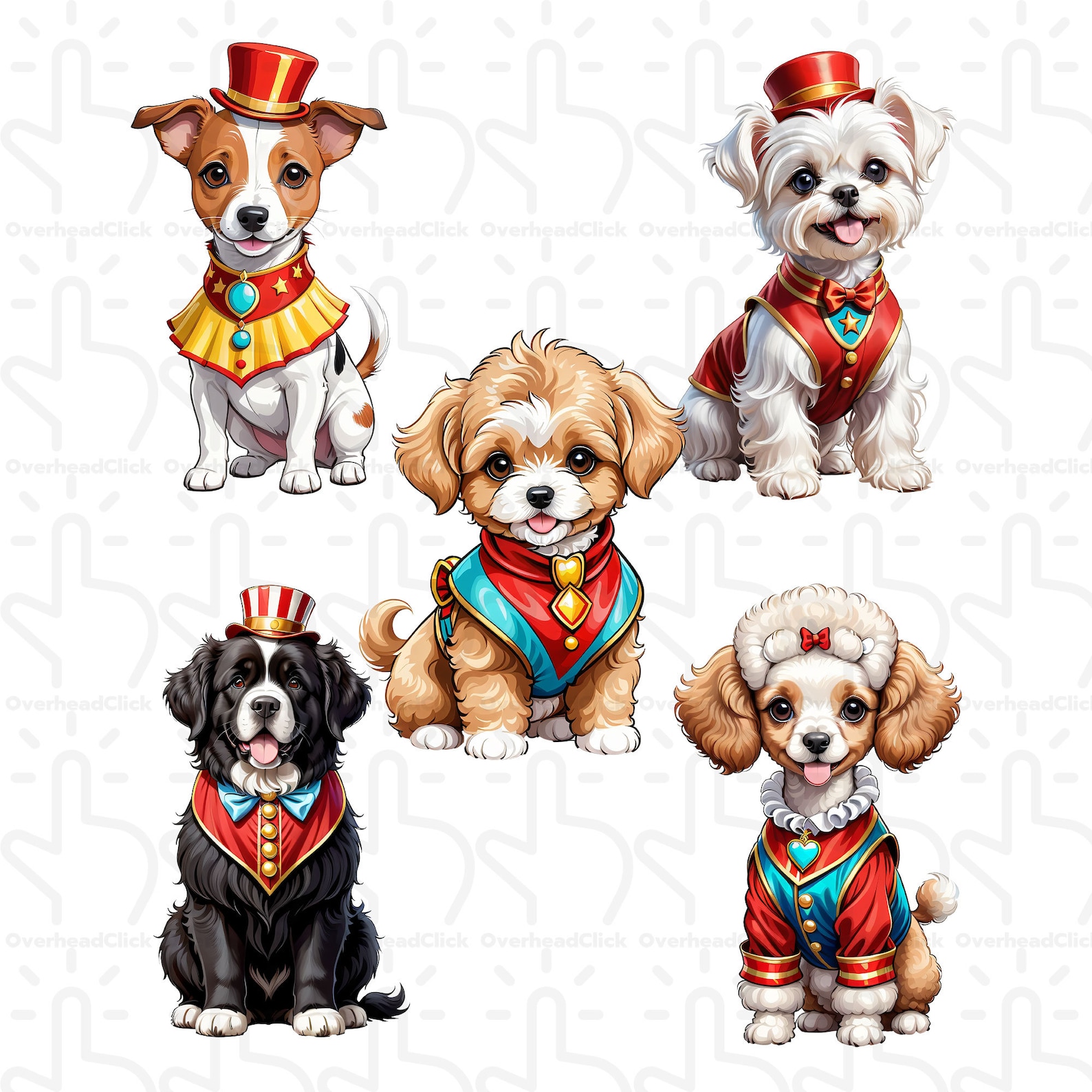 Cute Circus Dogs Clipart, 12 PNG Transparent, 300 DPI, Cute Watercolor ...