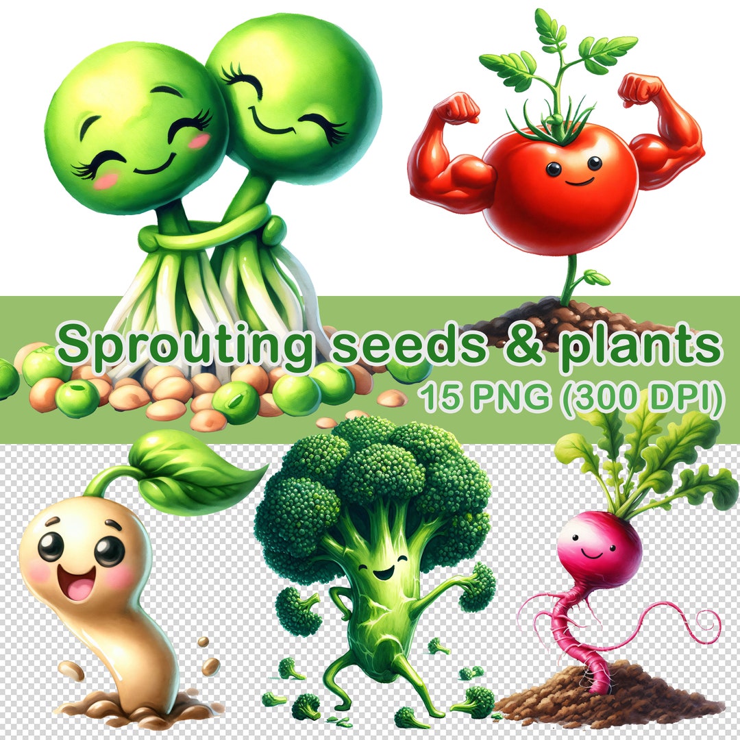 Sprouting Seeds and Plants Clipart, 15 PNG Transparent, 300 DPI, Cute ...