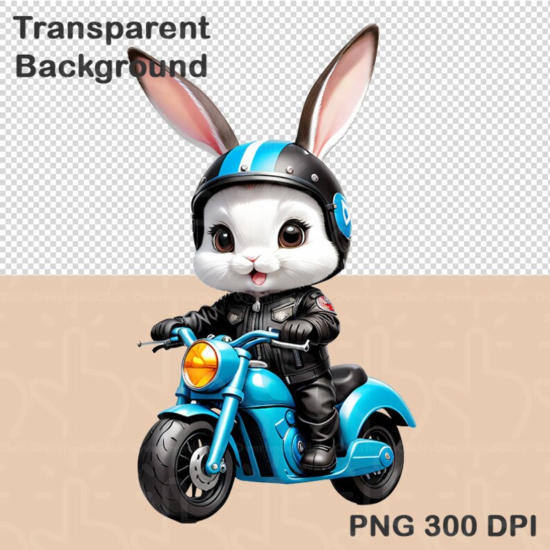 Biker Animals Clipart, 16 PNG Transparent, 300 DPI, Cute Watercolor ...