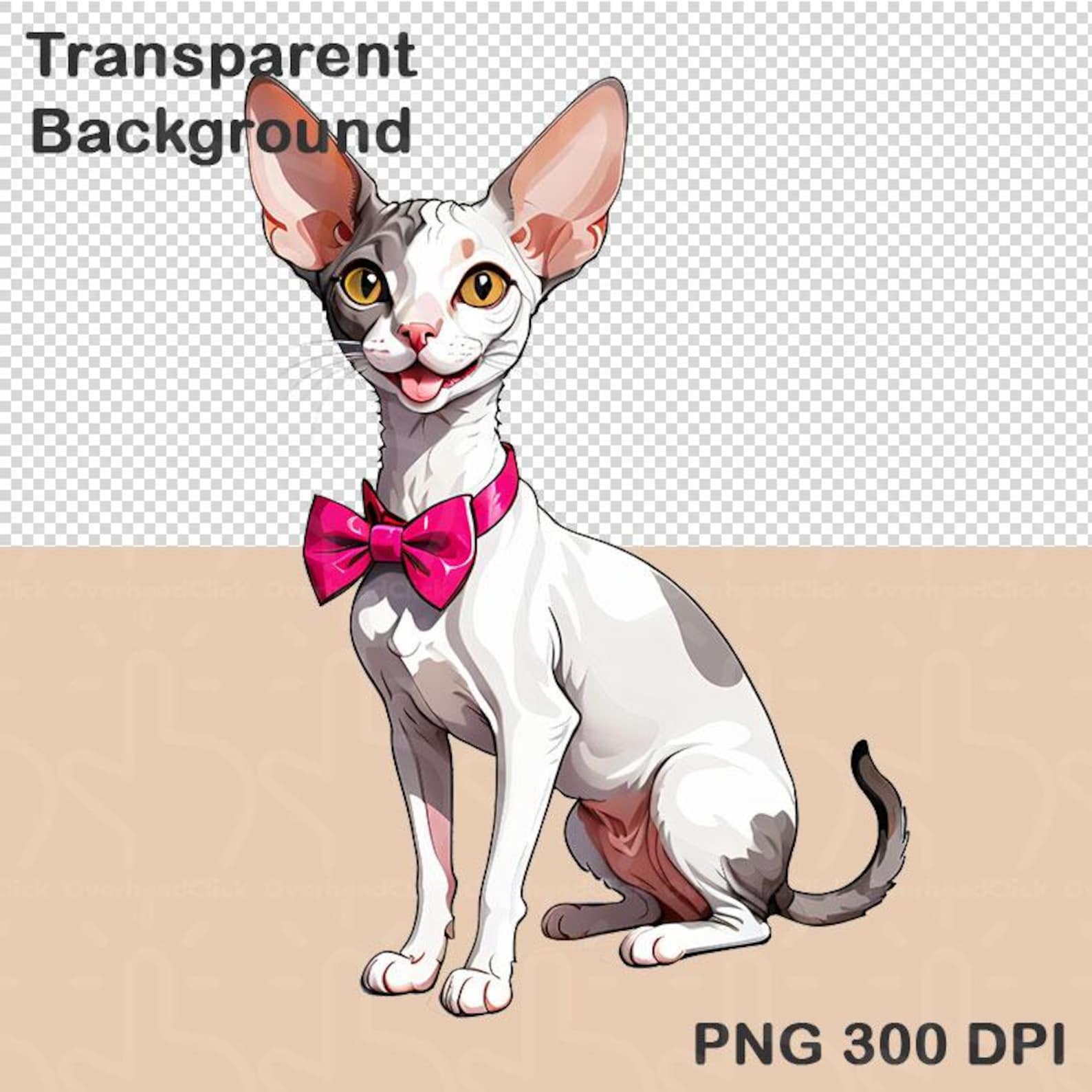 Watercolor Coquette Bow Cats Clipart: 19 PNG Images (digital Download ...