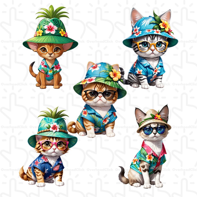 Watercolor Summer Cats Clipart: 16 PNG Images (digital Download) - Etsy