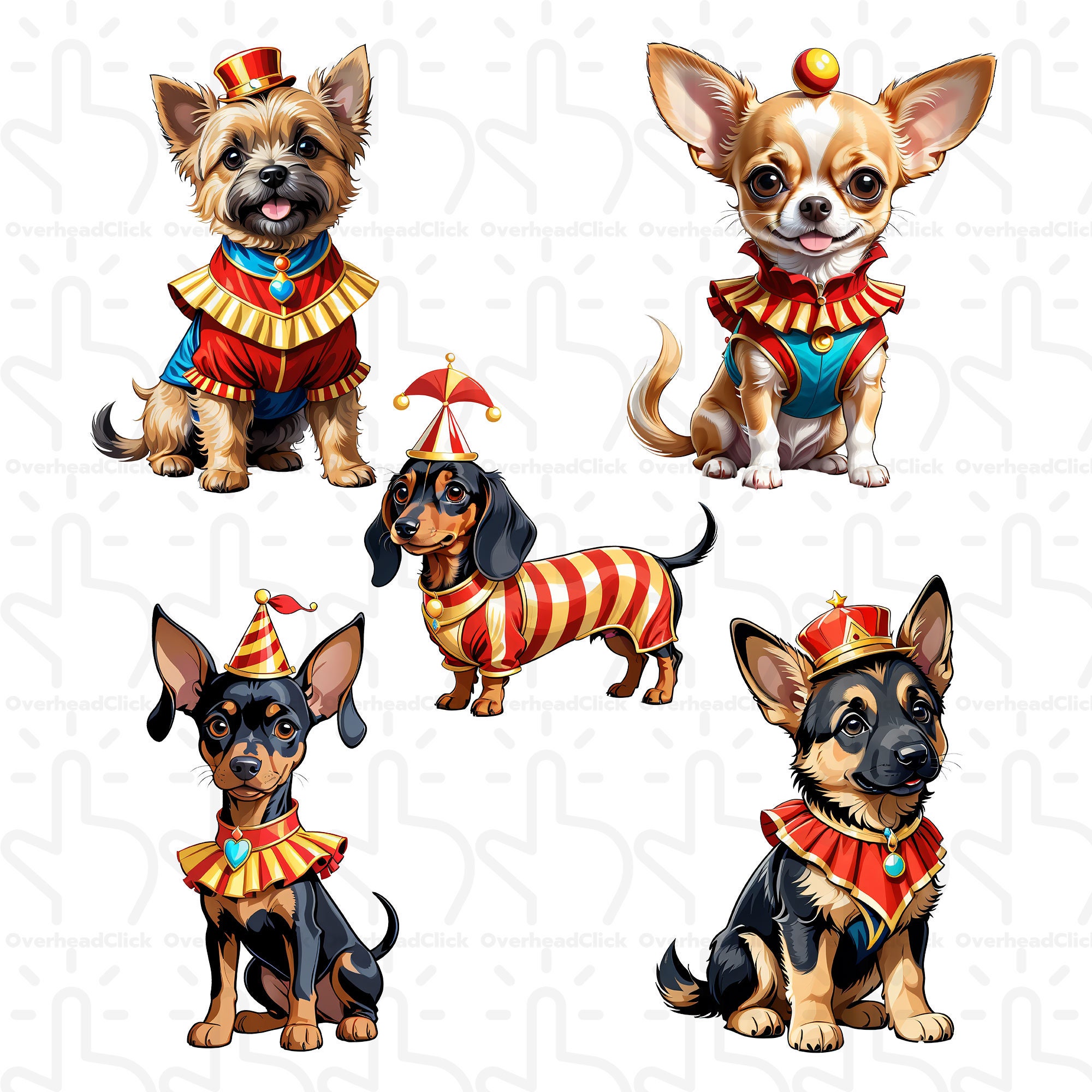 Cute Circus Dogs Clipart, 12 PNG Transparent, 300 DPI, Cute Watercolor ...