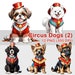 Cute Circus Dogs Clipart, 12 PNG Transparent, 300 DPI, Cute Watercolor ...