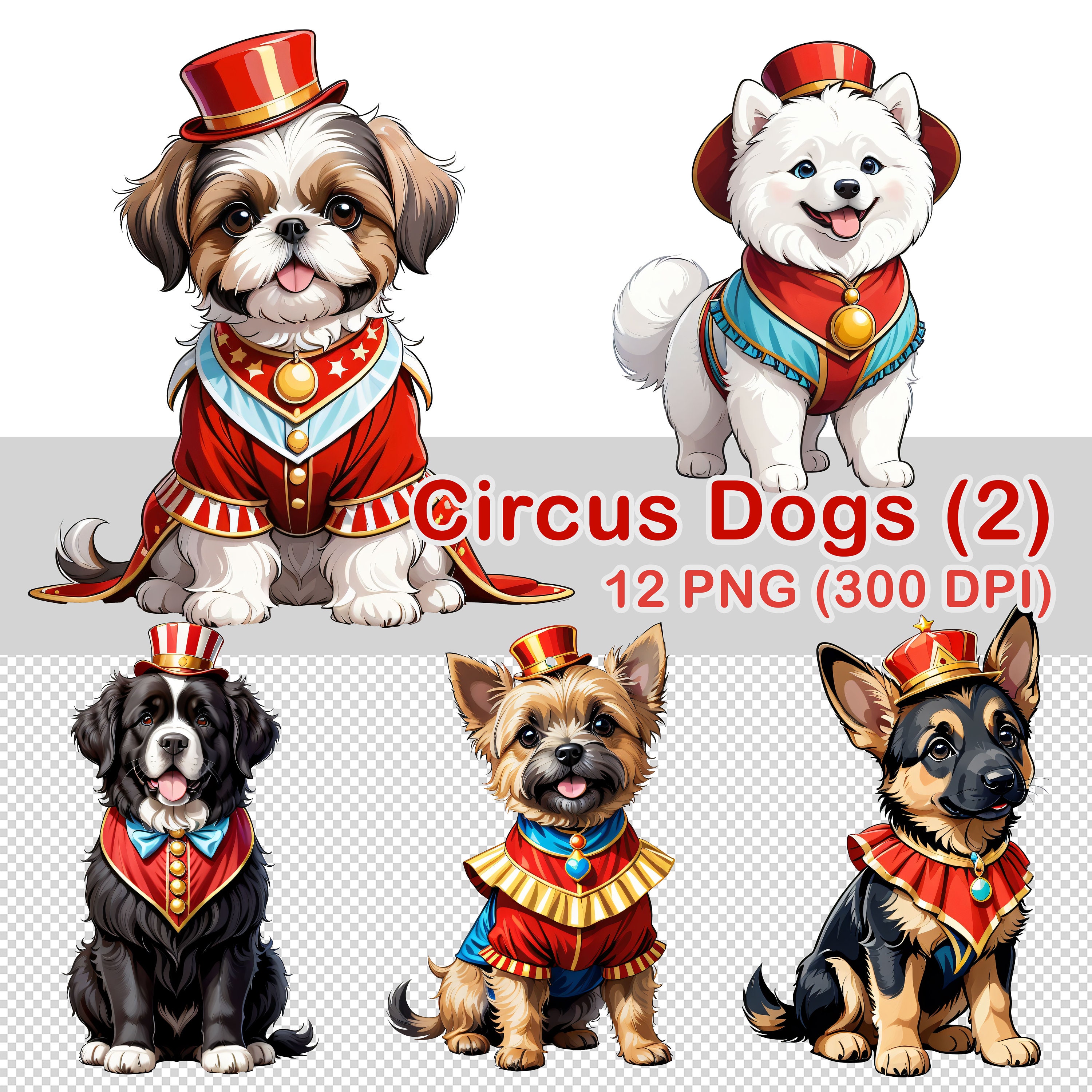 Cute Circus Dogs Clipart, 12 PNG Transparent, 300 DPI, Cute Watercolor ...
