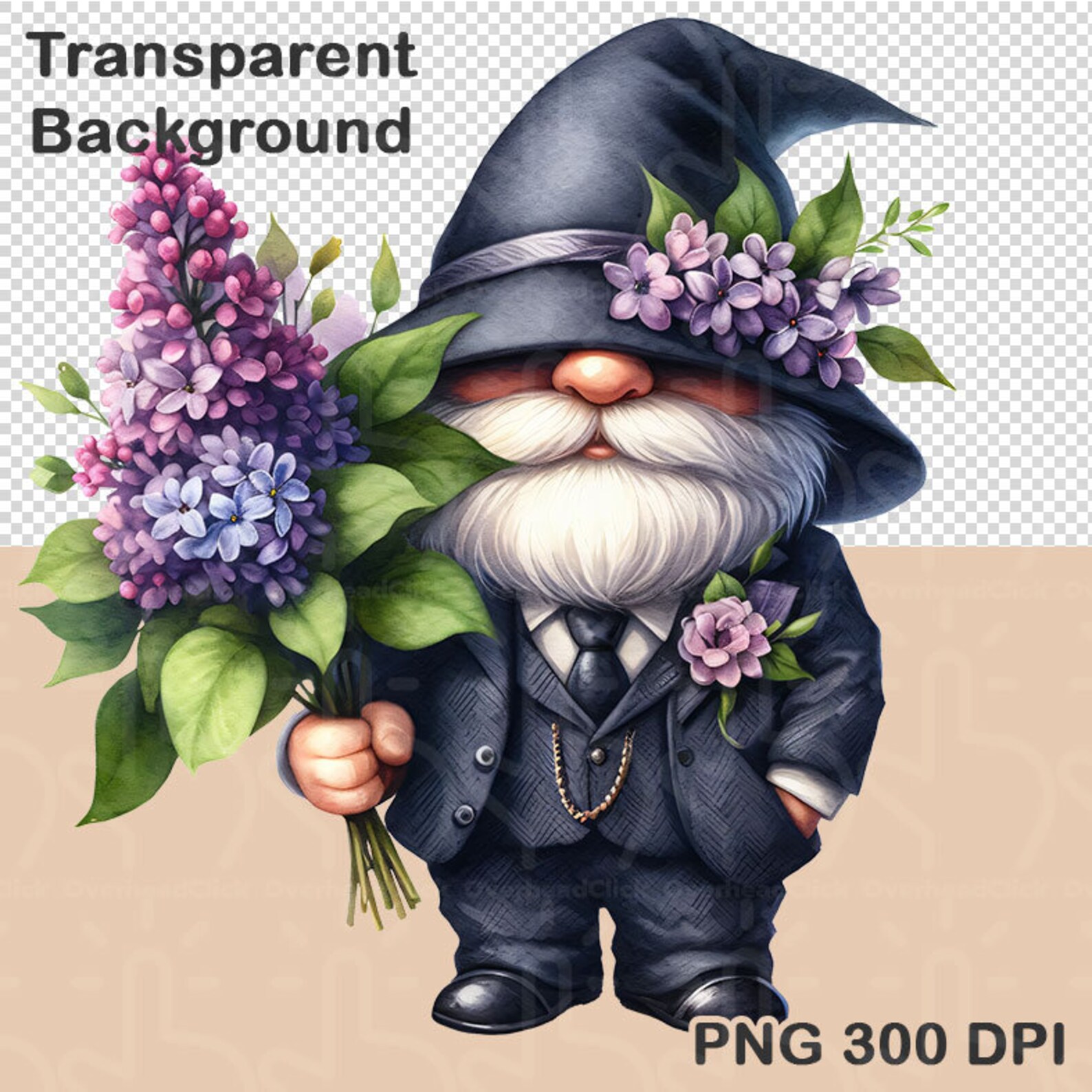 Flowers Gnomes Clipart, 20 PNG Transparent, 300 DPI, Cute Watercolor ...