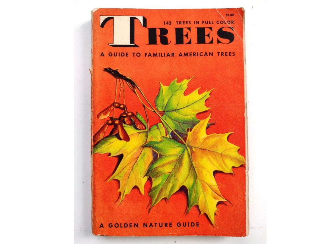 Vintage 1956 Golden Nature Book: A Guide to Familiar American Trees Mid ...