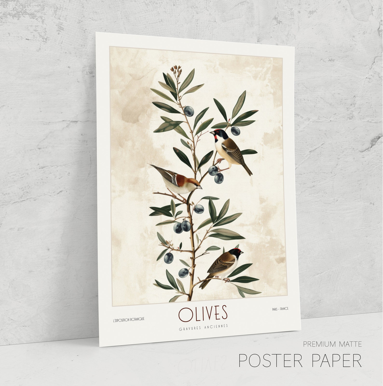 Olive Tree Branch Botanical Poster Print, Floral Canvas Wall Art - Etsy